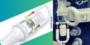 Phallosan Forte: Expert Review 2026 & Real User Insights!